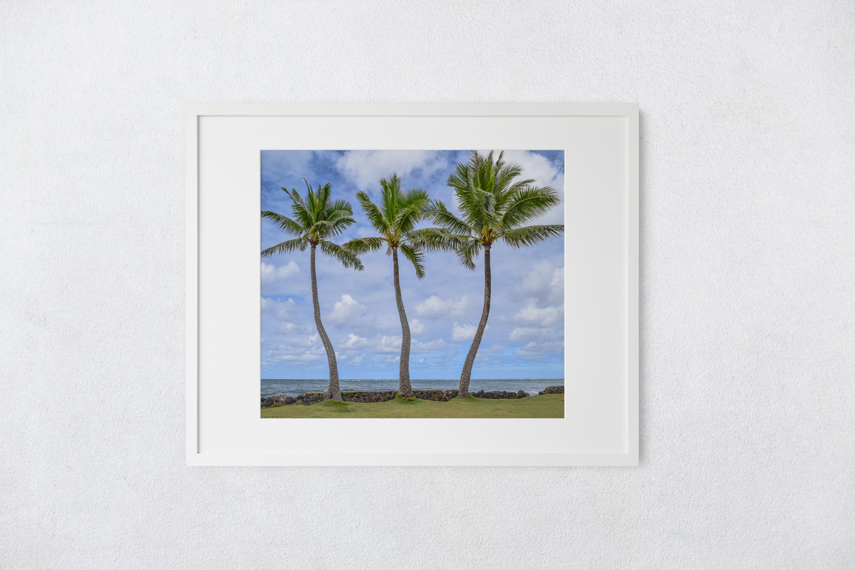 "Tree Brothers - Color" Butterfly in the Wind – Waikiki Beachboy The ...